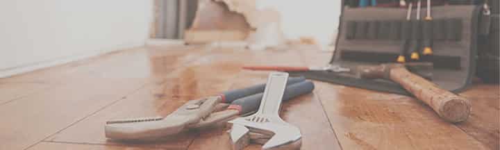 Moisture Mapping A Comprehensive Guide to Acceptable Moisture Levels in ...